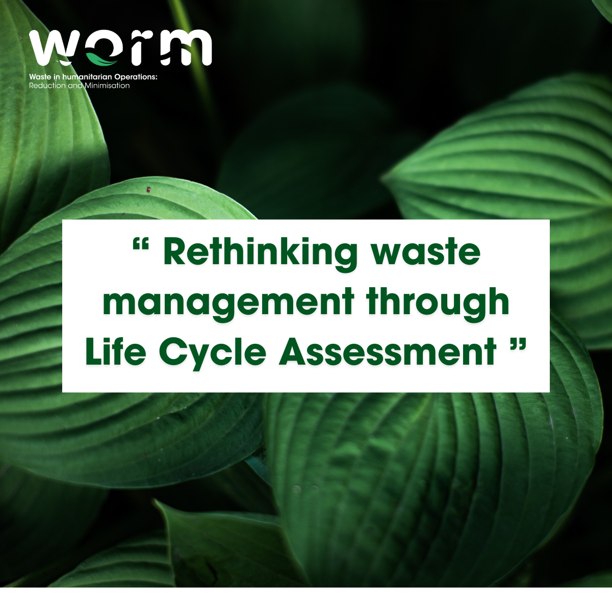 Rethinking waste management through life cycle assessment - Worm Project